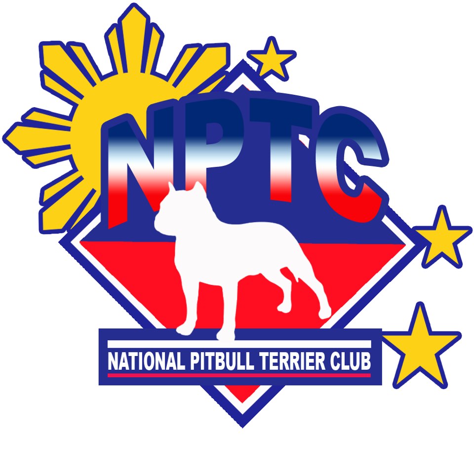 The Bully Quest Alliance (BQA): History of American Pitbull Terrier in ...