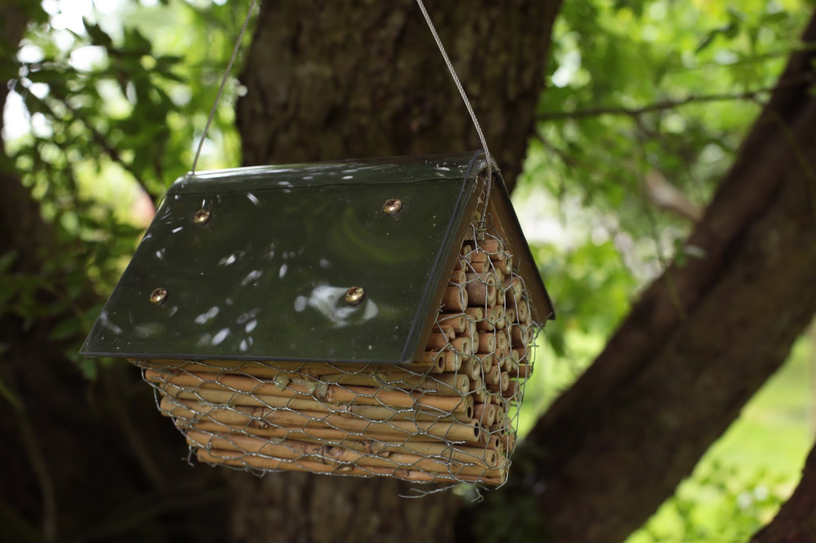 The Bee Bole: Shandy Hall Bee Library