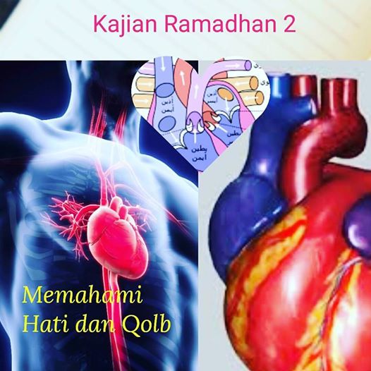 Zam-Zam Cinta: Memahami Perbedaan Makna Qolbun & Hati
