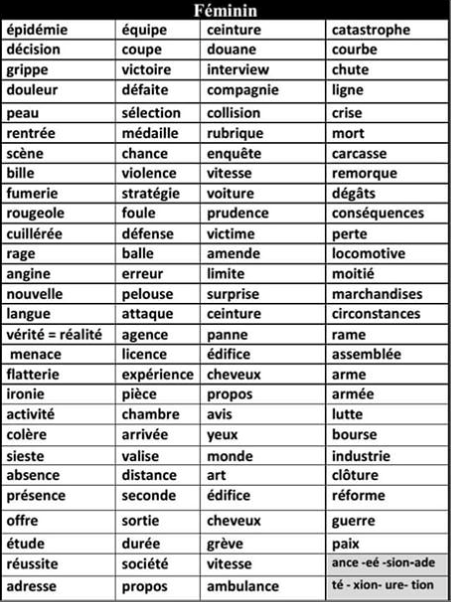 Masculin et Feminin des mots en francais - مدونة تعلم