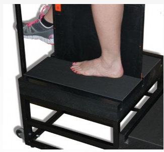 Weight Bearing Platform Stand ~ Kashelara