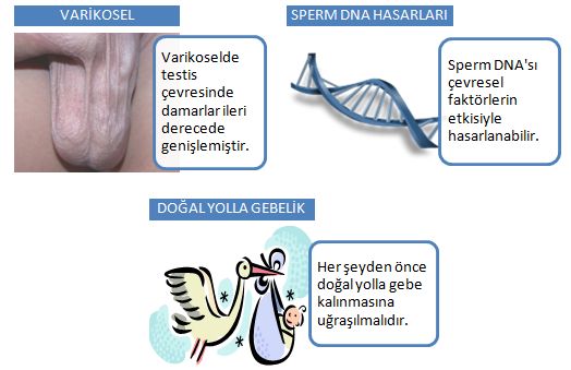 VARİKOSEL İLE İLGİLİ YAŞADIKLARIM - Düşünmek ve Paylaşmak