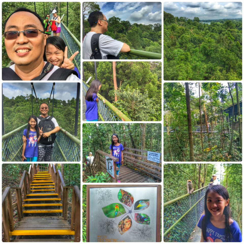 Travel Bugs: Tips for Hiking at MacRitchie Nature Trail