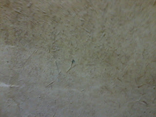 BENTUK KERTAS MERANG ~ KERTAS MERANG