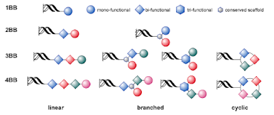 The Curious Wavefunction: DNA-encoded libraries: Bring me the drugs