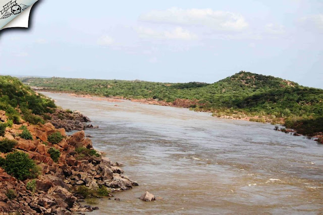 Basava Sagara (Narayanpur) Dam - 14/08/2016