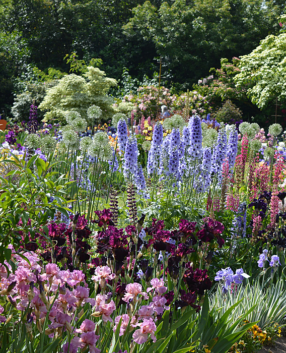 World of Irises: Photo Essay: A Visit to Schreiner's Iris Gardens