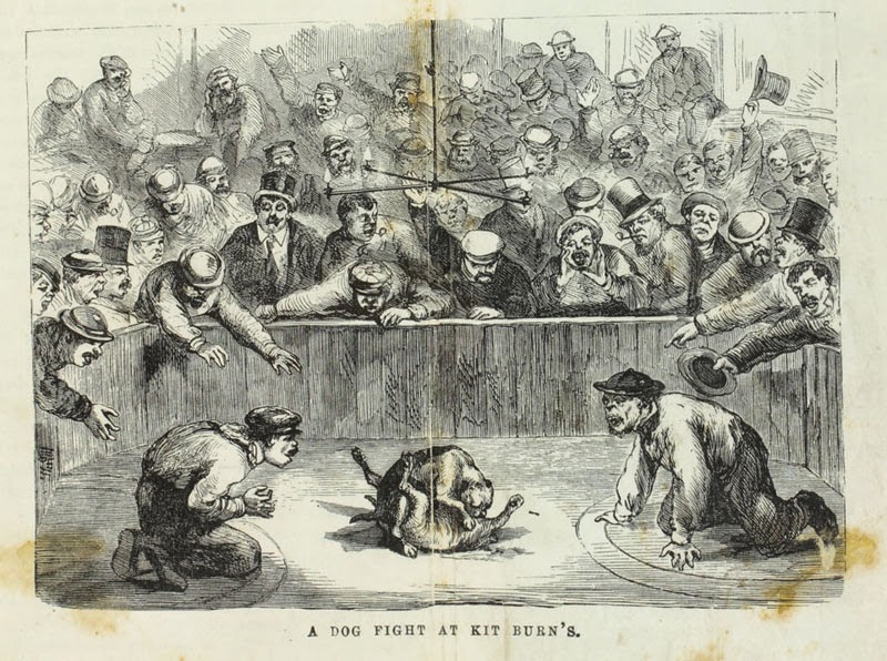 Kit Burns' Rat Pit at 273 Water Street