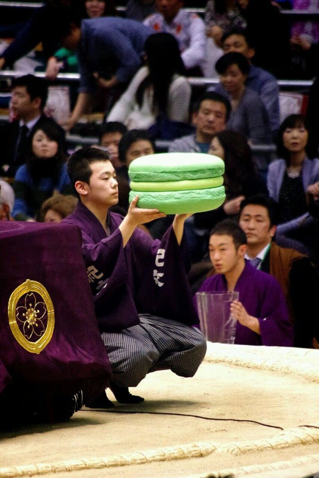 I Have Seen The Whole Of The Internet: Come Second In A Sumo Contest ...