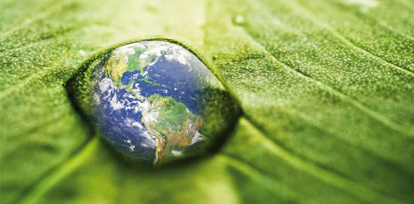 Betrokkenheid bij het milieu blijft ondanks crisis hoog - Energienieuws