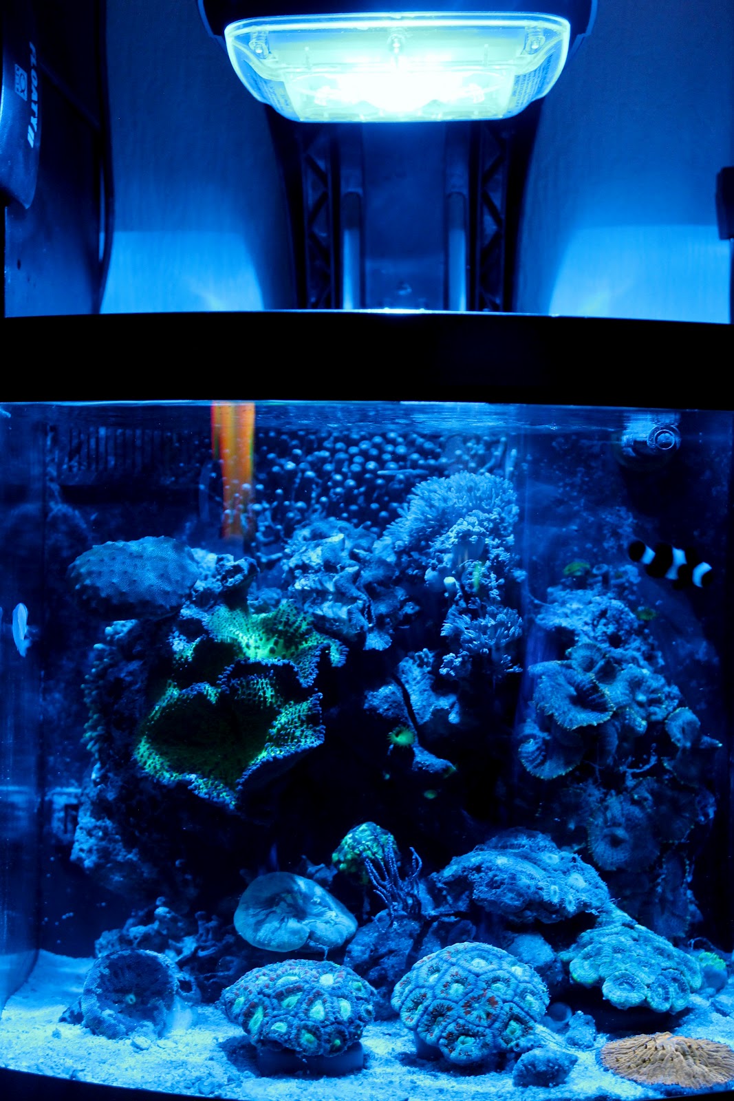 Howard`s Reef: Nano Akvarium 27 Liter