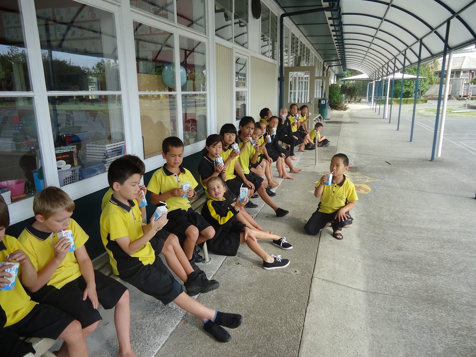 Room 8 Year 4 - Sunnybrae Normal School