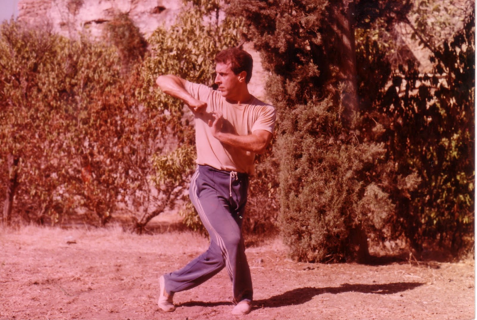 PAK MEI,Ceja Blanca,White Eyebrow, Asociacion Cheung´s Pak mei Kung Fu ...