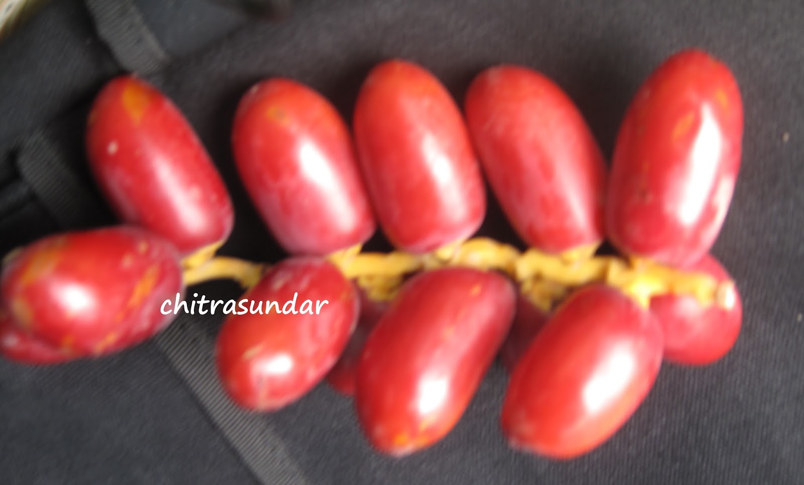 chitrasundars blog: ஈச்சம் பழத்தின் இனிய நினைவுகள்