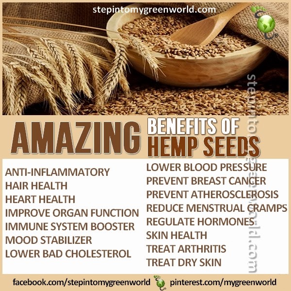 Health And Nutrition Tips Benefits Of Hemp Seeds