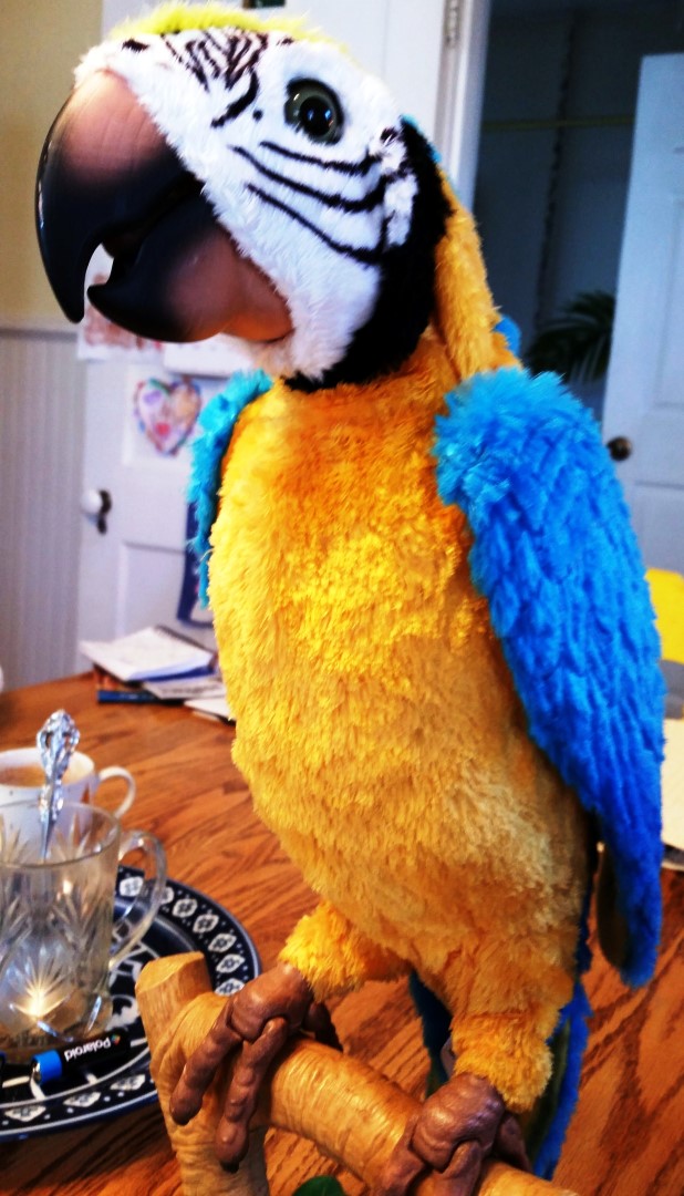 Writing Straight from the Heart: Perky Polly Parrot...