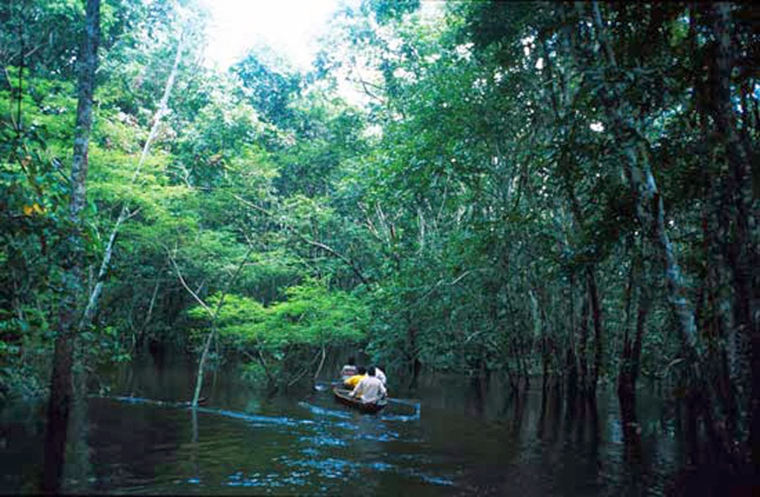 LOS ECOSISTEMAS DE MÉXICO Y SU BIODIVERSISDAD: Las maravillas de los ...