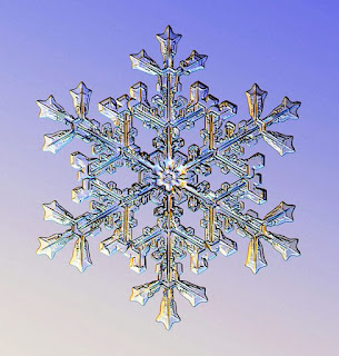 Heraldry of Life: ART with REAL SNOWFLAKES
