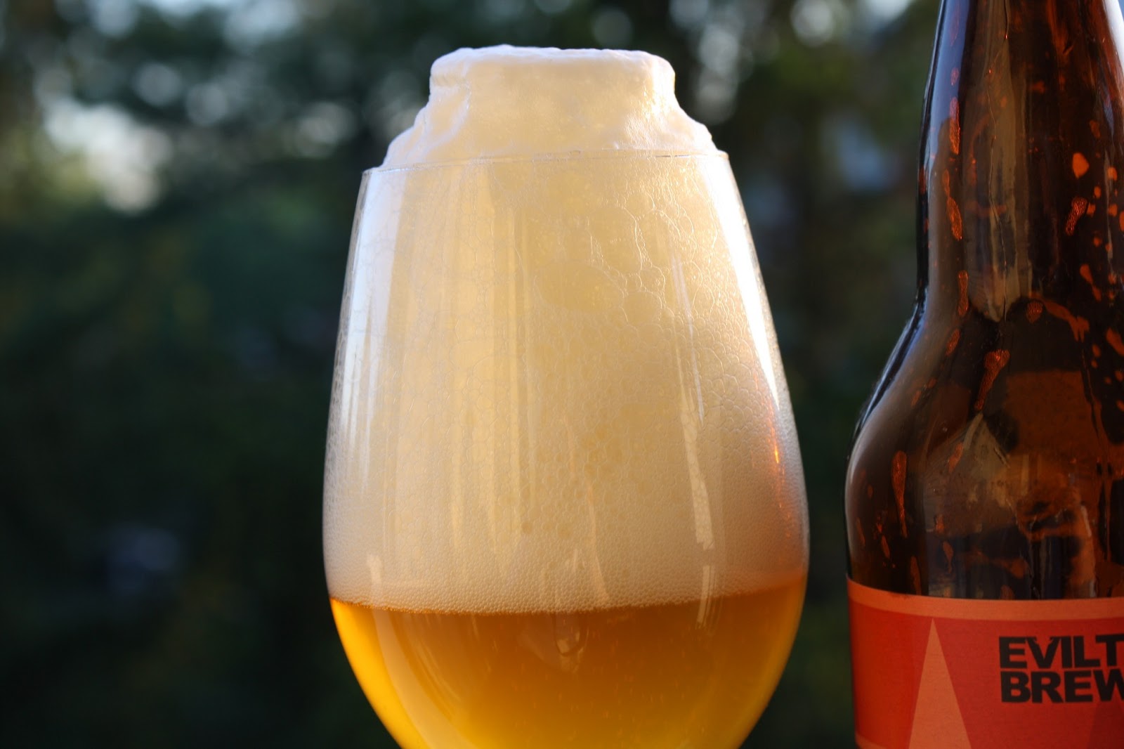 Evil Twin Brewing Ron and the Beast Ryan: My Thoughts on Contract Brewing