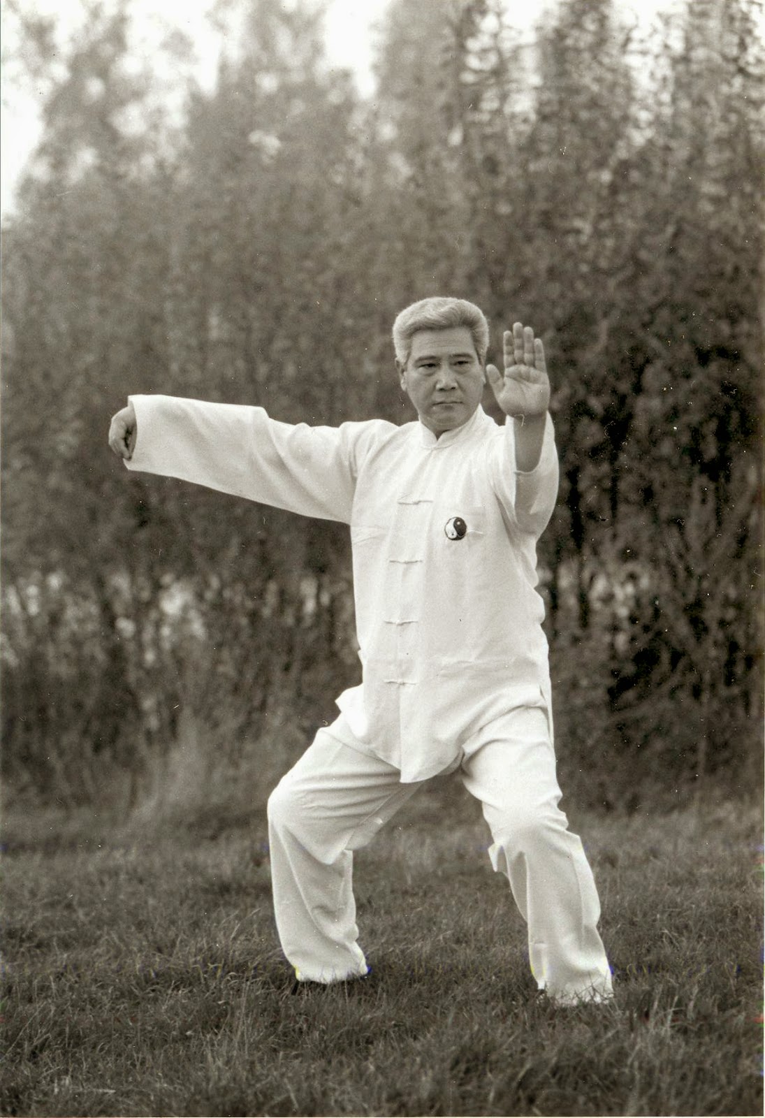 FORO para el WU TAIJIQUAN TRADICIONAL