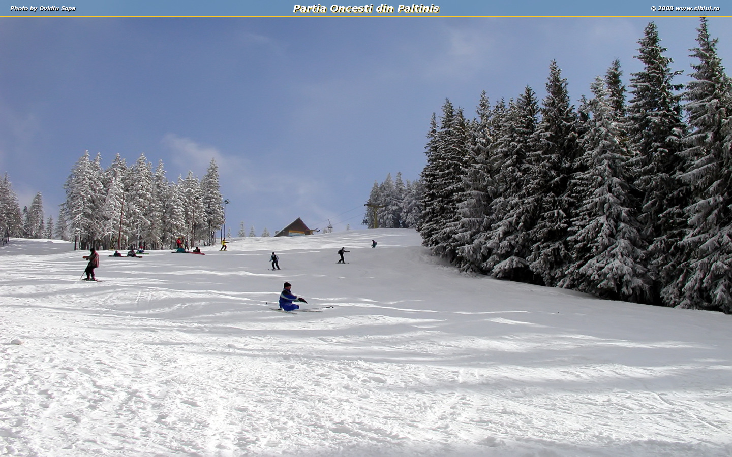 Destinatii turistice: Statiunea Paltinis-Obiective turistice ...