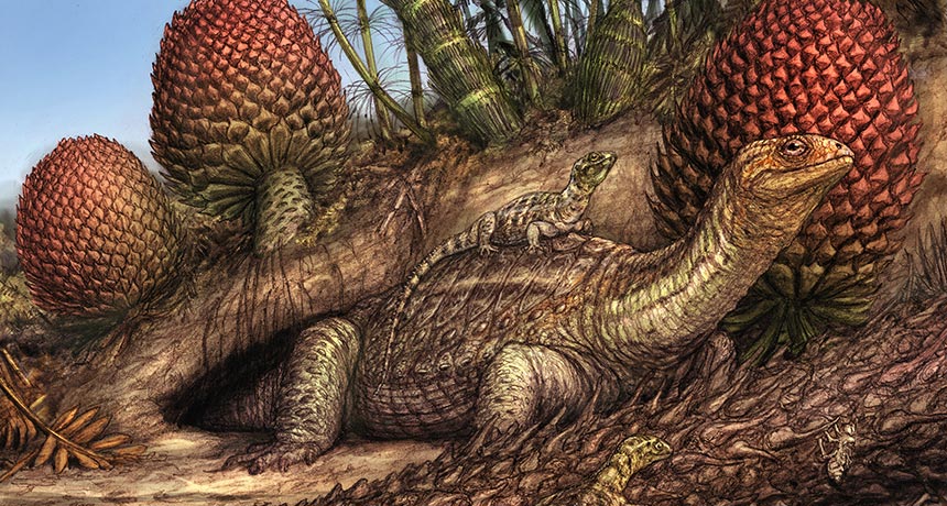 Paleontología y Evolución en la UCM: Osteosarcoma en fósil de un ...