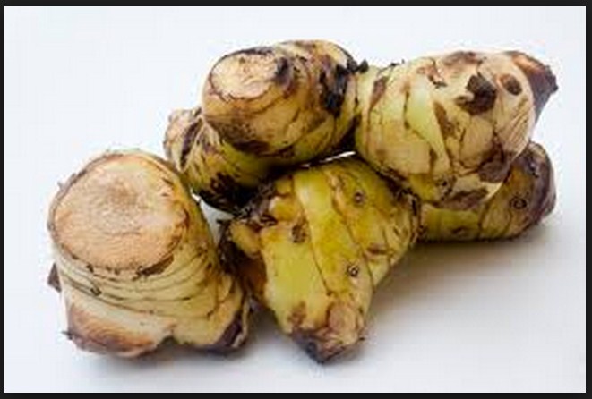 Pengertian dan Definisi Tanaman Lengkuas Jenis Jahe Jahean | Mail ...
