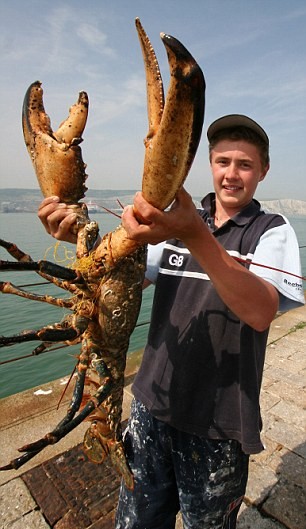 Serba raksasa | tirtasaiko