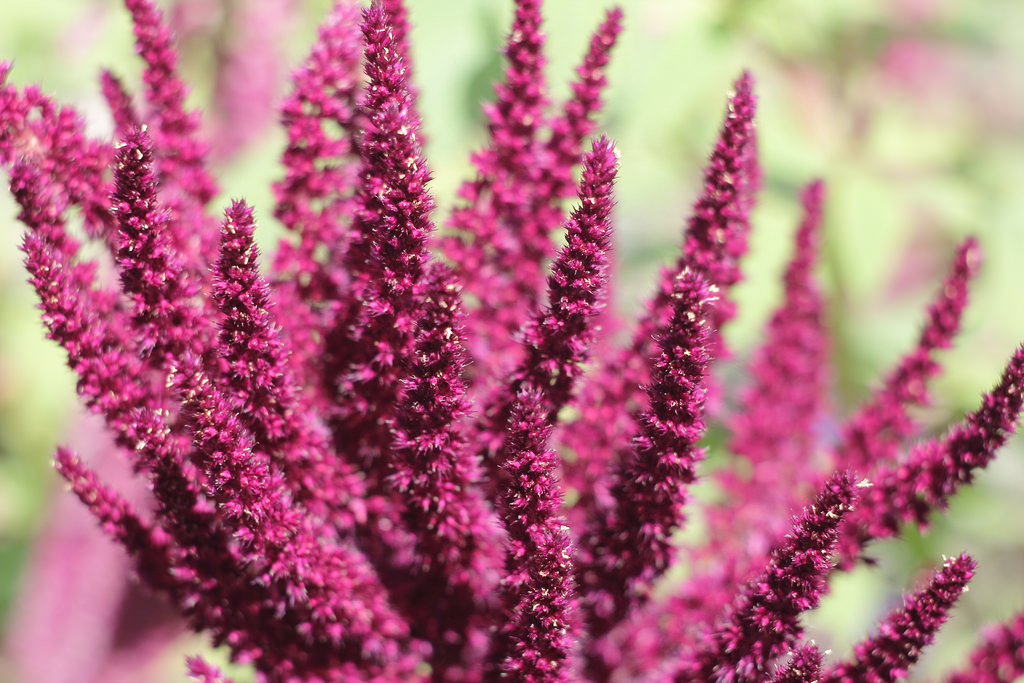 Héroes, Villanos y Artistas desconocidos... de la historia de México ...