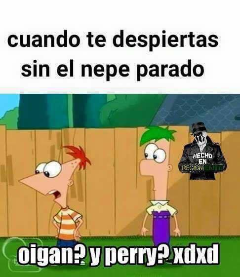 Imágenes Chistosas: Donde esta Perry