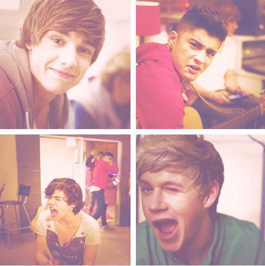 Turkish Directioners