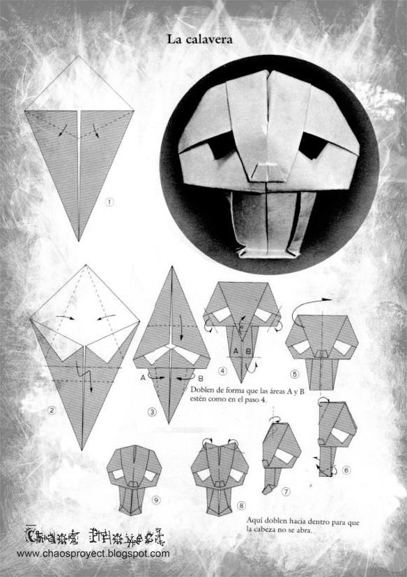Origami Skull 3d Diagram Skull (low Poly) 3D Model $5 .max .fbx .3ds