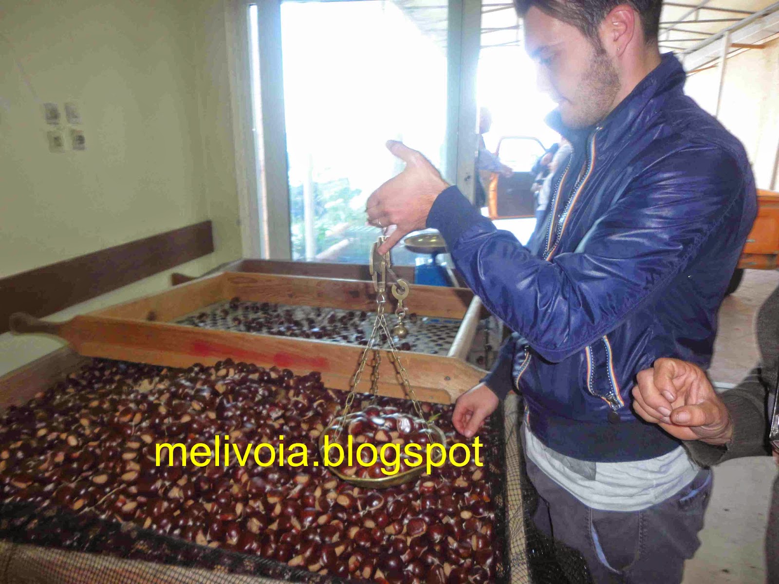 ΚΑΣΤΑΝΑ ΜΕΛΙΒΟΙΑΣ