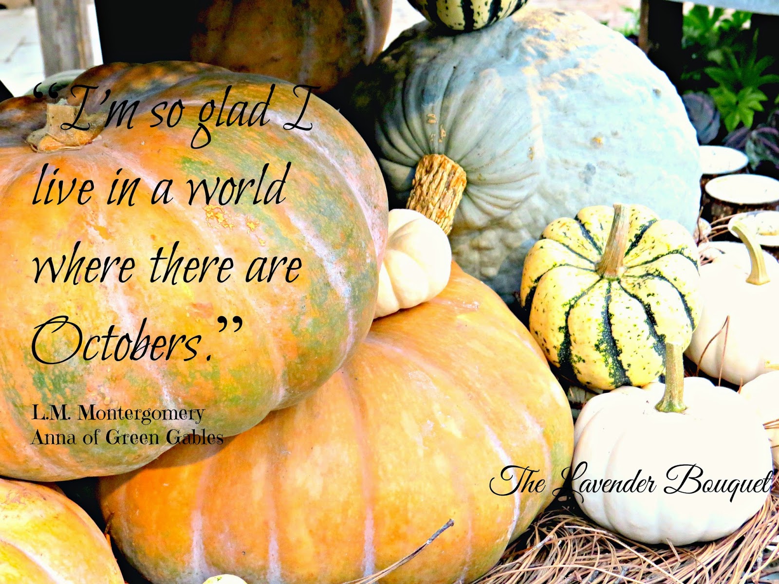 The Lavender Bouquet: WISHING YOU A WONDERFUL FALL DAY!