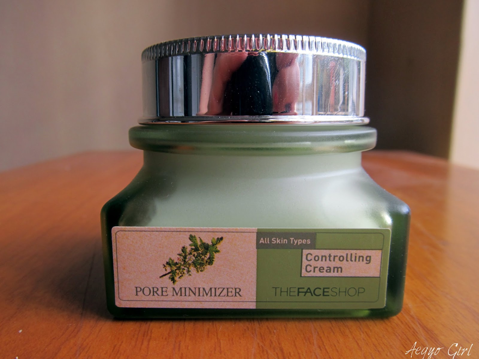 The Beauty Sweet Spot: REVIEW: THEFACESHOP Pore Minimizer Controlling Cream