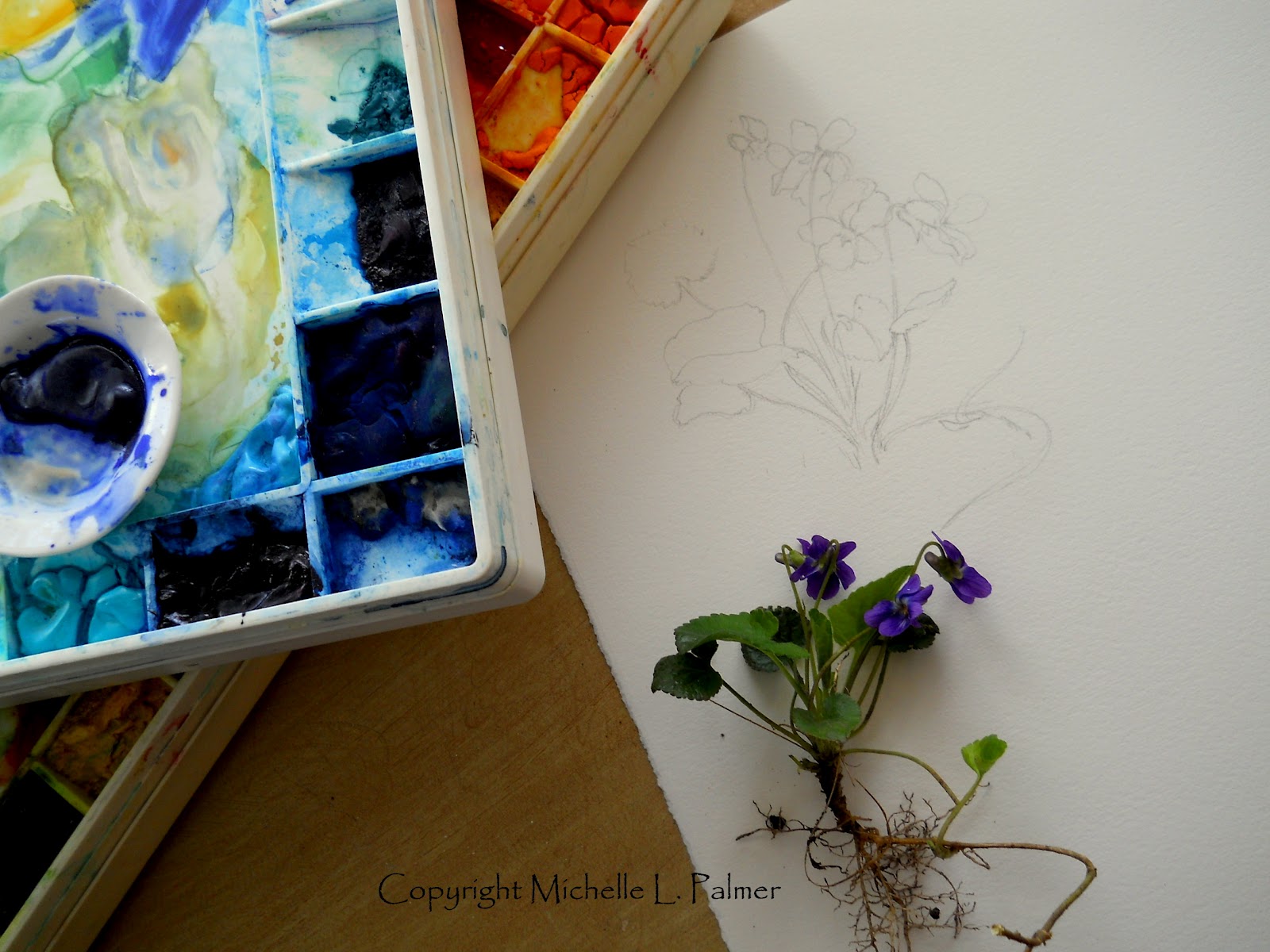 Michelle Palmer: Original Watercolors...