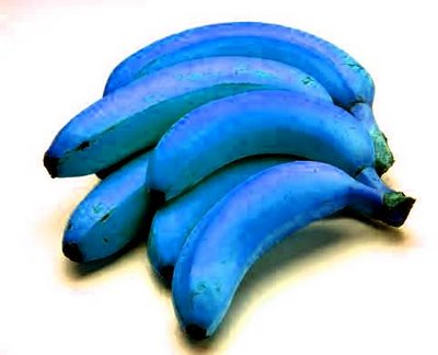 Planeta Bananástico: Bananas de Varias Cores
