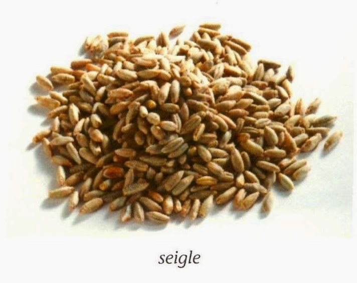 The Wandering Girl: Tout savoir sur... les céréales et les graines