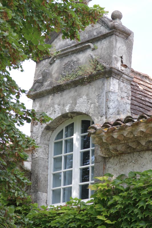 A French Chateau Dream! | PAINT THE WALL