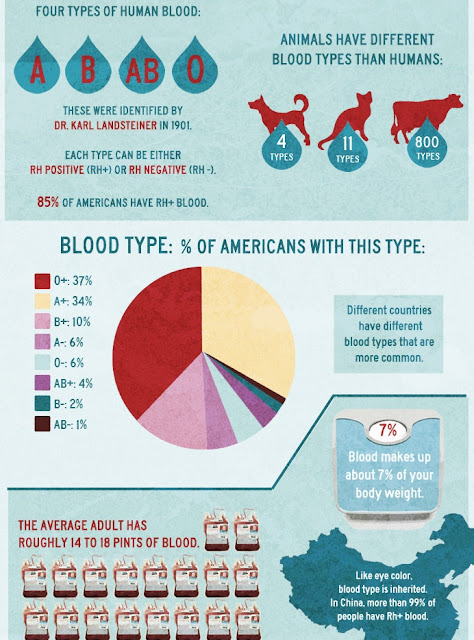 Hematology and Oncology: Blood Fun Facts