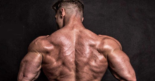 BUILT by tallsteve: Ripped Back