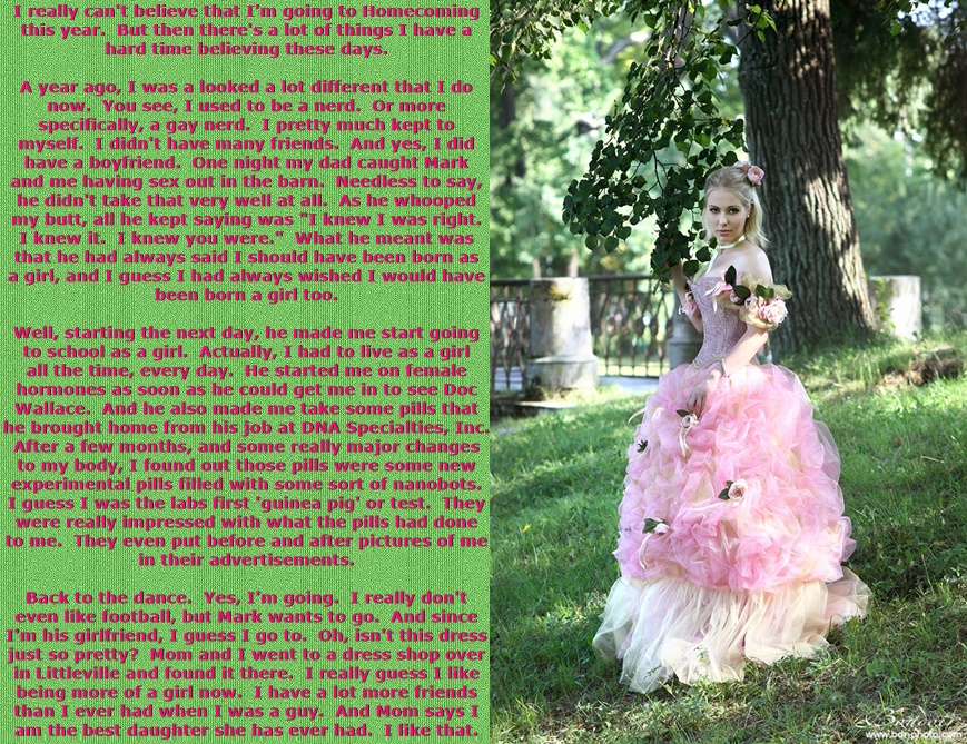 Exotic Tg Captions A Sissy And More