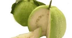 Kumpulan Gambar sketsa gambar buah jambu biji Gif - Sketsakini