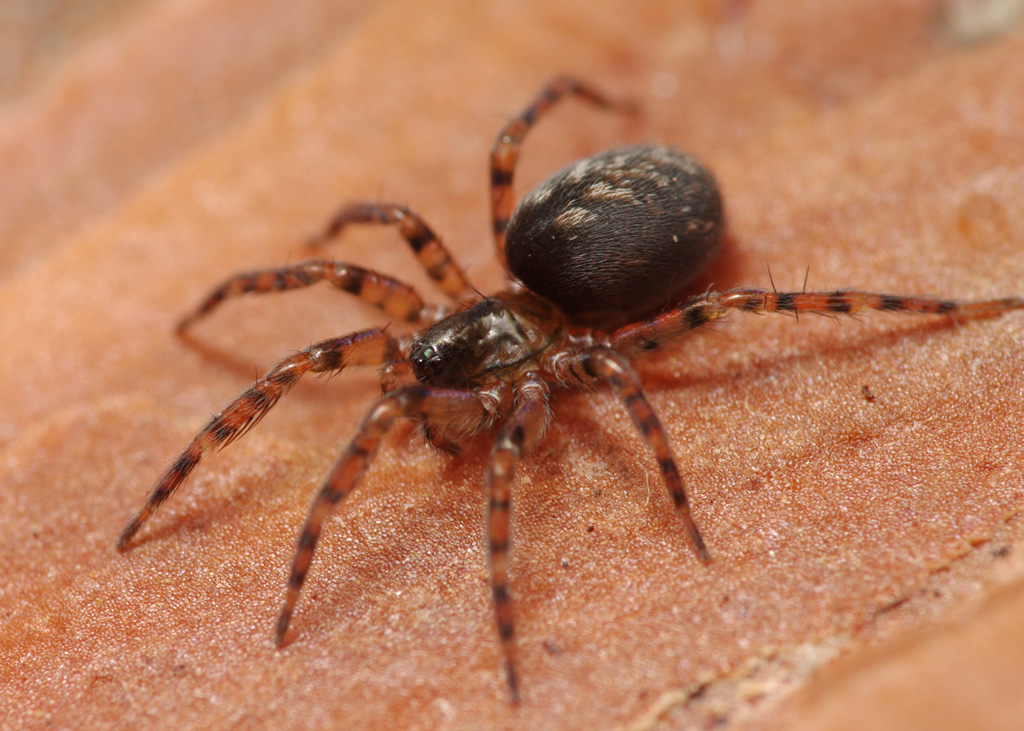 Nature photos from an Amateur Naturalist: Kirkenes, Finnmark, Norway ...