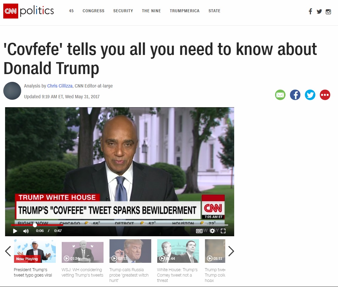 Calm Gull, Emergent Sea: Covfefe: case study in projection