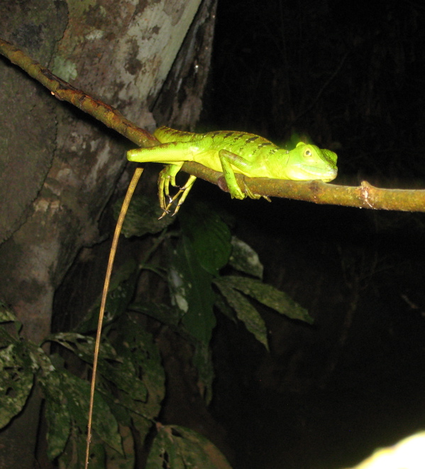 Reuben in Nicaragua