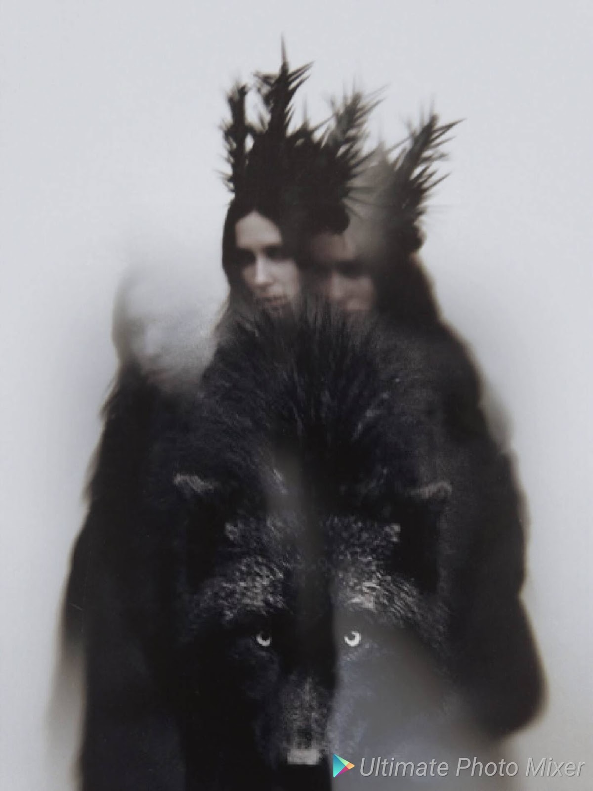 Dark Goddess Musings: The Finest of Wolves