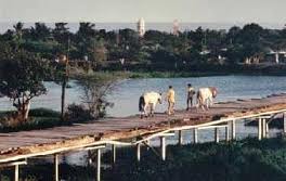 Pivijay, Tierra de paz y de reyes