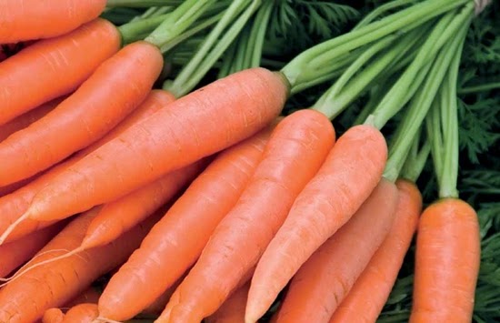 GadgetYuk: Manfaat Luar Biasa Mengkonsumsi Wortel Untuk Tubuh Anda