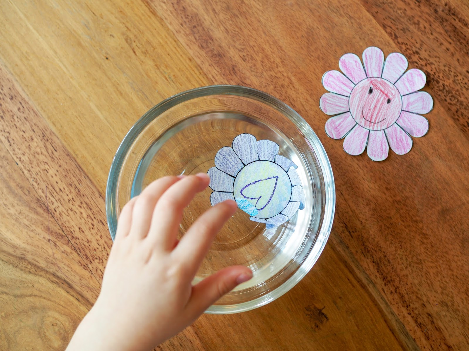 Little Hiccups: Magic Blooming Flowers for Mother's Day